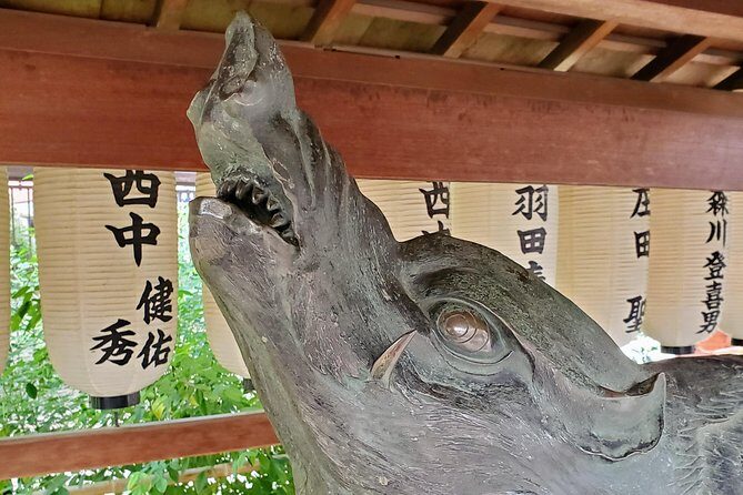 Dark Kyoto Tour - Value and Practical Considerations