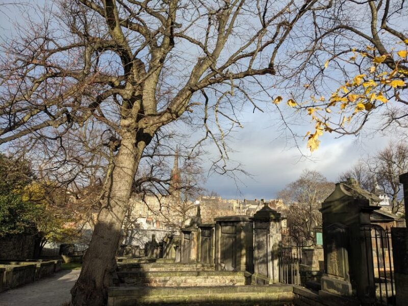 Dark Stories of Edinburgh: walking tour in French - A Deep Dive into the Experience