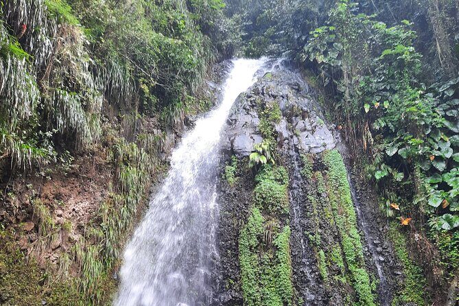 Dark View Falls - St. Vincent - A Deep Dive into the Dark View Falls Tour
