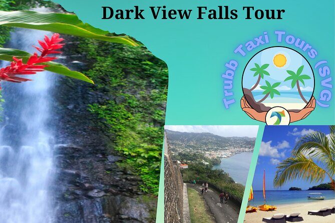 Dark View Falls Tour with Trubb Taxi Tours SVG - Who Should Consider This Tour?