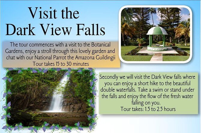 Dark View Falls Tour with Trubb Taxi Tours SVG - The Sum Up: Is This Tour Worth It?