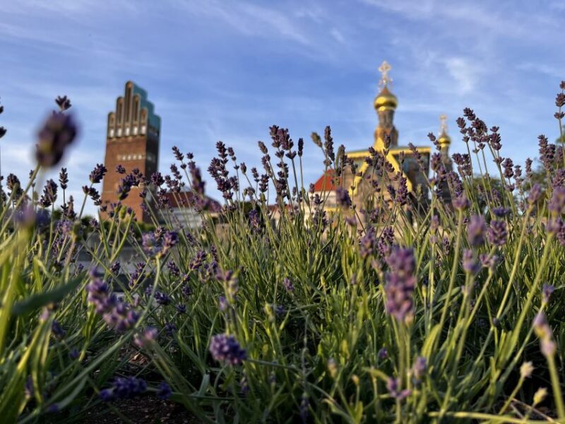 Darmstadt: City Highlights and History Guided Walking Tour - The Practicalities of the Tour