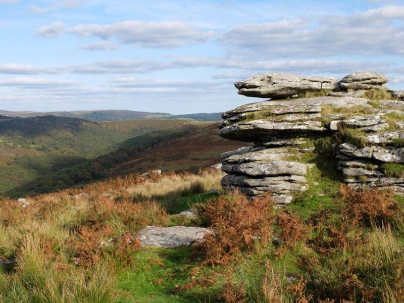 Dartmoor: Hound of the Baskervilles Experience - Why This Tour Works for Different Travelers