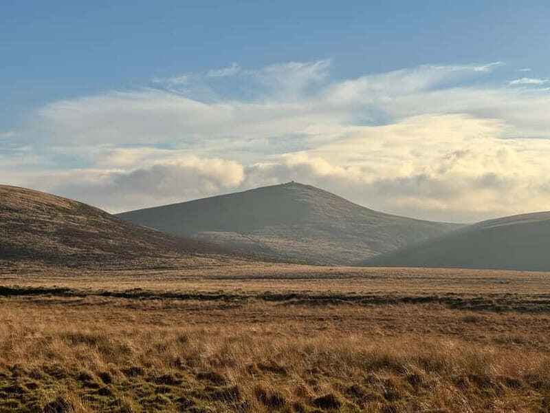 Dartmoor National Park: Half Day Guided Hiking Tour - FAQ