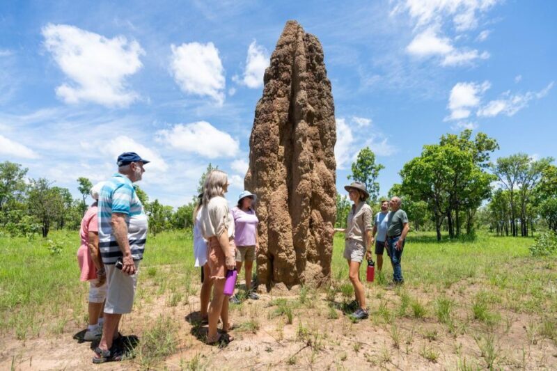 Darwin: 5-Day 4WD Kakadu Litchfield Tour & Billabong Cruise - Authenticity & Travel Experience