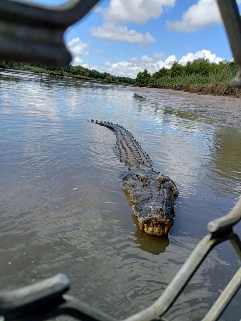 Darwin and Crocodile Tour - Final Thoughts: Who Will Love This Tour?
