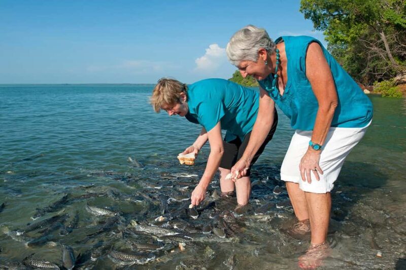Darwin: Aquascene Fish Feeding Experience - Key Points