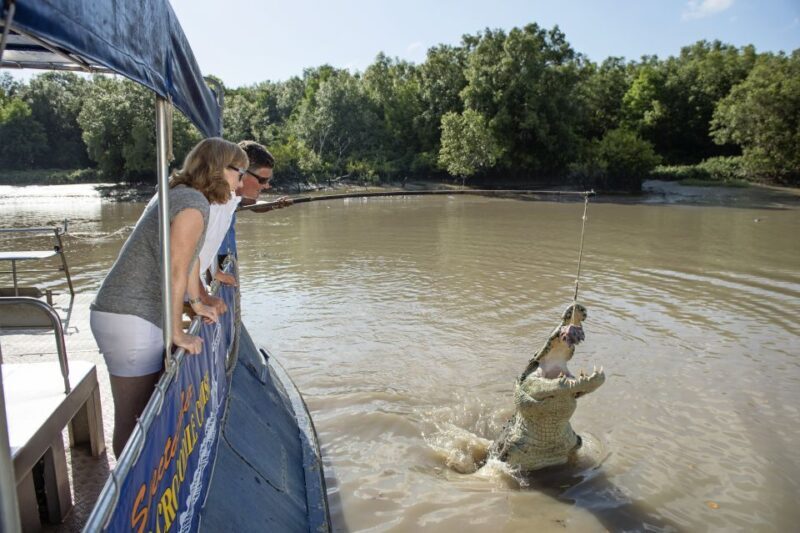 Darwin: City Sights and Jumping Crocodile Cruise - Authentic Traveler Insights