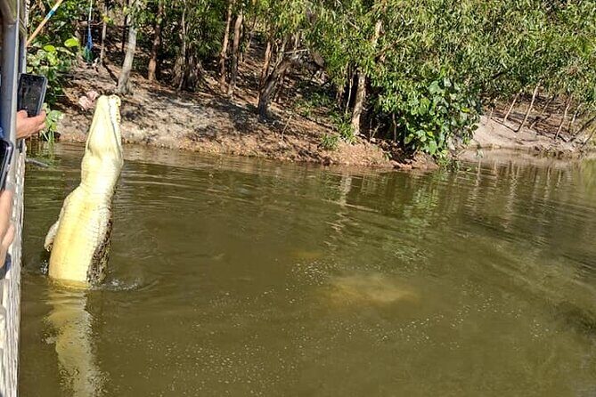 Darwin City Tour + Crocodile Cruise+Lunch Optional - Exploring Darwin: A Balanced Look at the City, Crocs, and Coastline