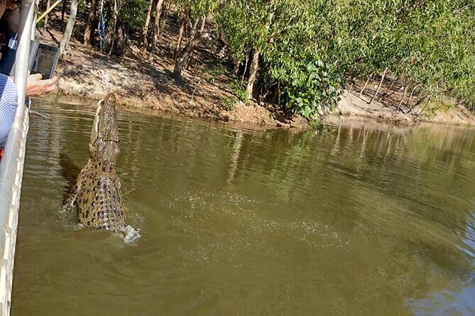 Darwin City Tour + Crocodile Cruise+Lunch Optional - Key Points