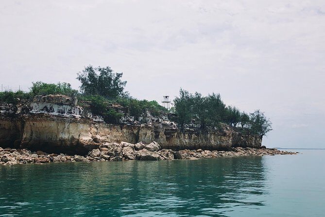 Darwin Combo: The Bombing of Darwin Experience & Darwin Harbour Cruise - Analyzing the Cost and Overall Value