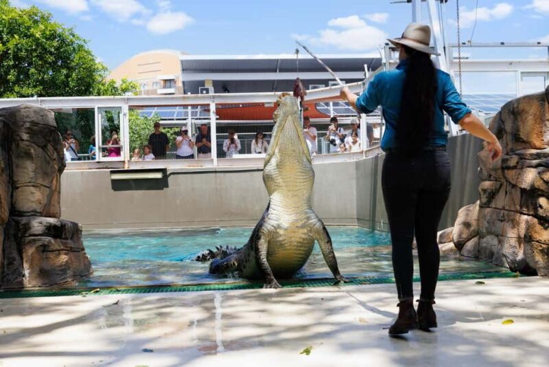 Darwin: Crocosaurus Cove and RFDS Entry - An Introduction to the Tour