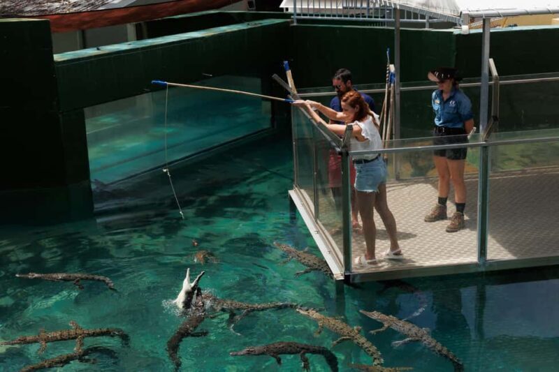 Darwin: Crocosaurus Cove and RFDS Entry - FAQs