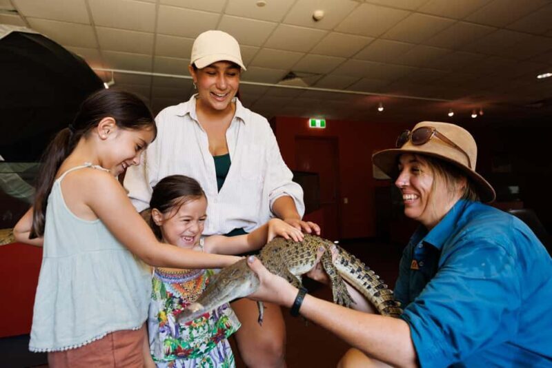 Darwin: Crocosaurus Cove Entry & Hop-on-Hop-Off Bus Tour - What Makes This Tour Stand Out
