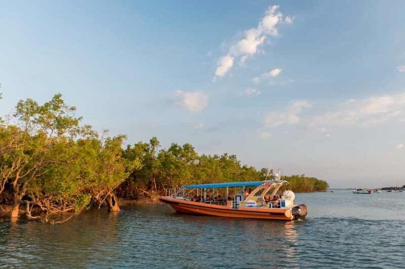 Darwin Harbour Cruise - What to Expect from the Darwin Harbour Cruise