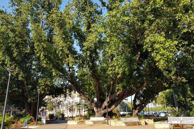 Darwin Heritage Walk - Getting to Know the Darwin Heritage Walk