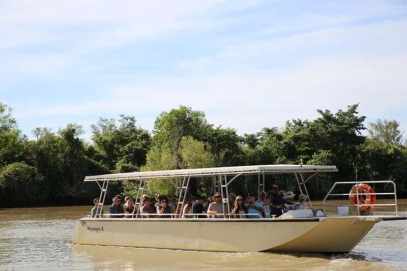 Darwin: Jumping Crocodile Adventure Cruise with Lunch - An In-Depth Look at the Experience