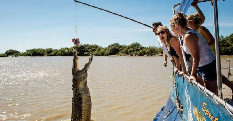Darwin: Jumping Crocodile Cruise - What Past Travelers Say