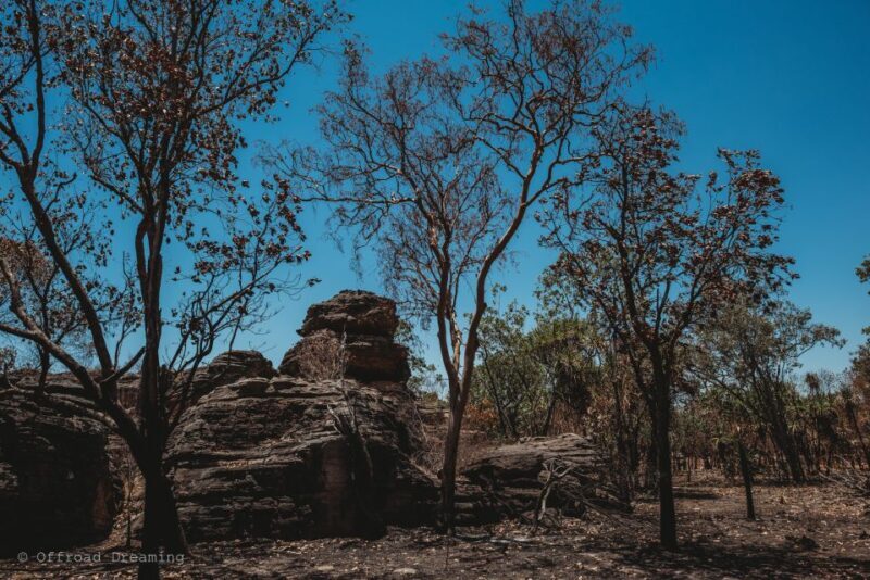 Darwin: Kakadu National Park Day Tour with Lunch - A Comprehensive Look at the Kakadu Experience