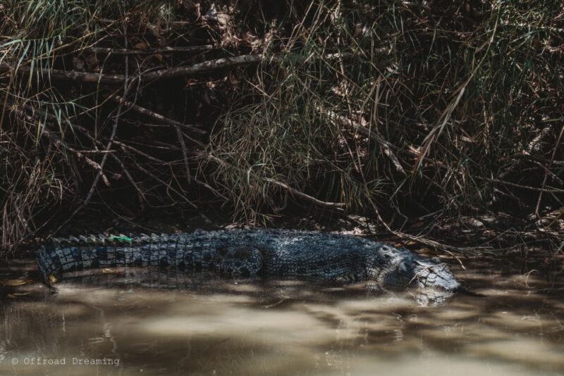 Darwin: Kakadu National Park Day Tour with Lunch - FAQs