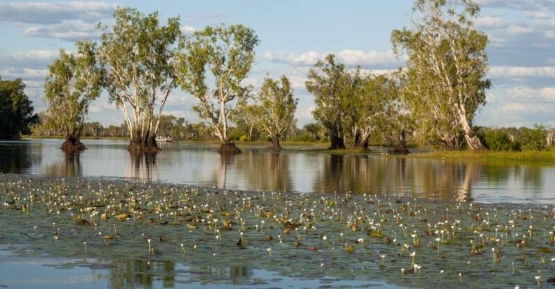 Darwin: Kakadu National Park Day Trip - Key Points