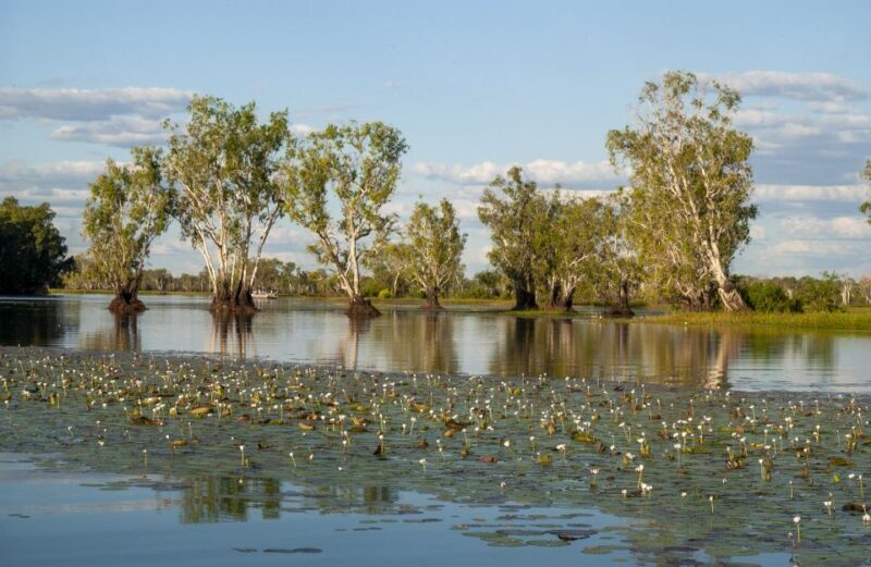 Darwin: Kakadu National Park Day Trip - The Itinerary Breakdown