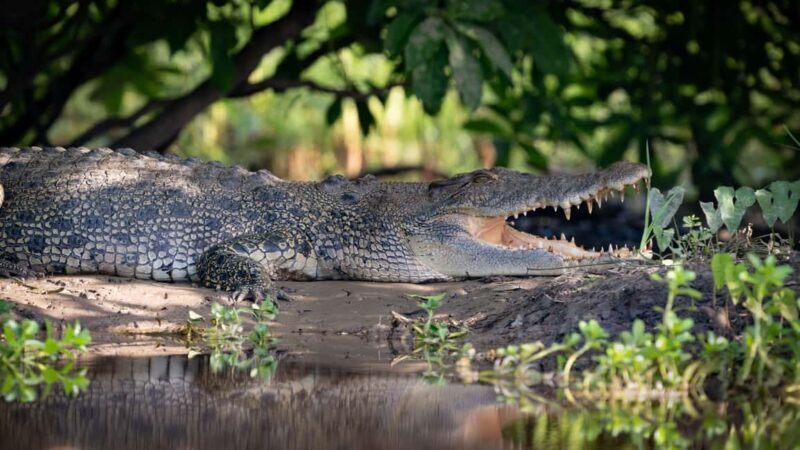 Darwin: Kakadu National Park, Yellow Water River Cruise - A Closer Look at the Itinerary
