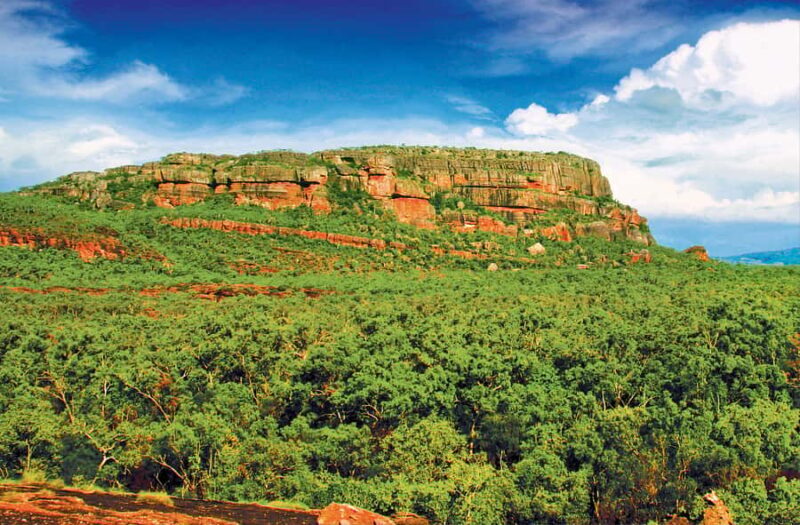 Darwin: Kakadu & Nourlangie Day Trip Plus Billabong Cruise - Frequently Asked Questions