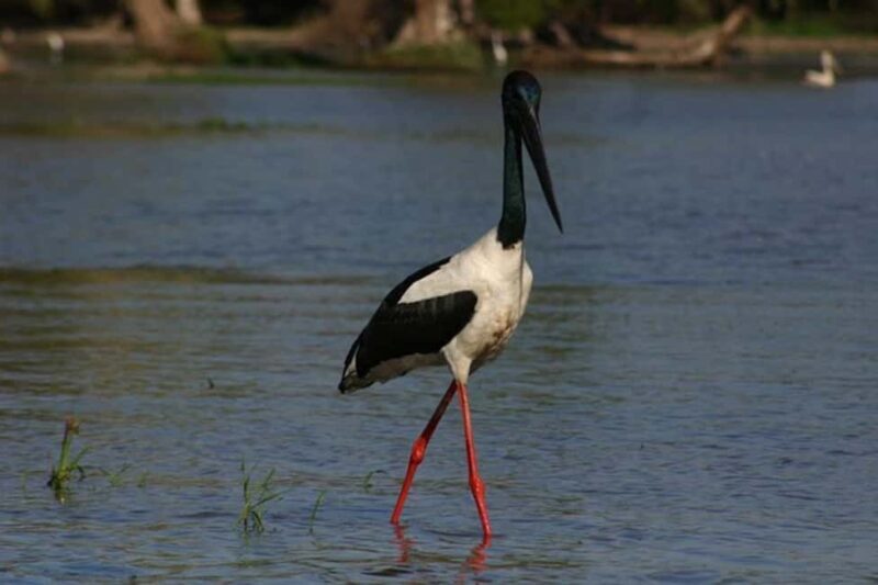 Darwin: Litchfield, Crocodile Cruise and Sunset Tour - Final Thoughts