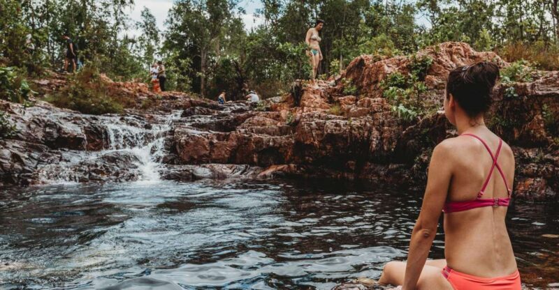 Darwin: Litchfield Day Tour and Private Crocodile Cruise - A Full-Day Journey into Territorys Top Natural Attractions