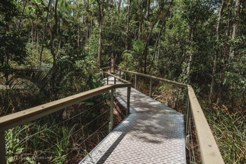 Darwin: Litchfield Day Tour and Private Crocodile Cruise - Authentic Traveler Feedback
