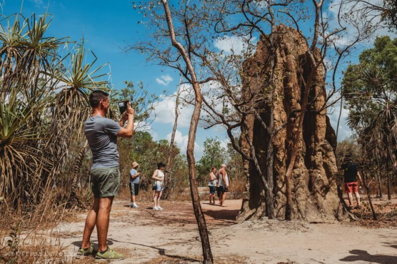 Darwin: Litchfield Day Tour and Private Crocodile Cruise - The Sum Up