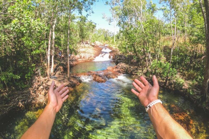 Darwin: Litchfield National Park Waterfalls & Wildlife Tour - Who Will Enjoy This Tour?