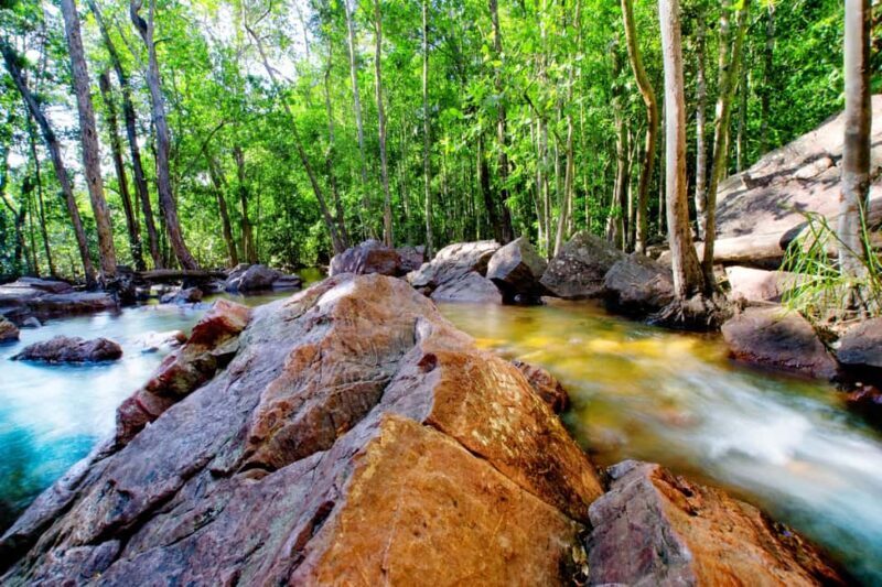 Darwin: Litchfield Park Sub-Tropical Escape - A Private tour - Key Points