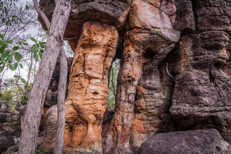 Darwin: Litchfield Park Sub-Tropical Escape - A Private tour - Overview and What to Expect