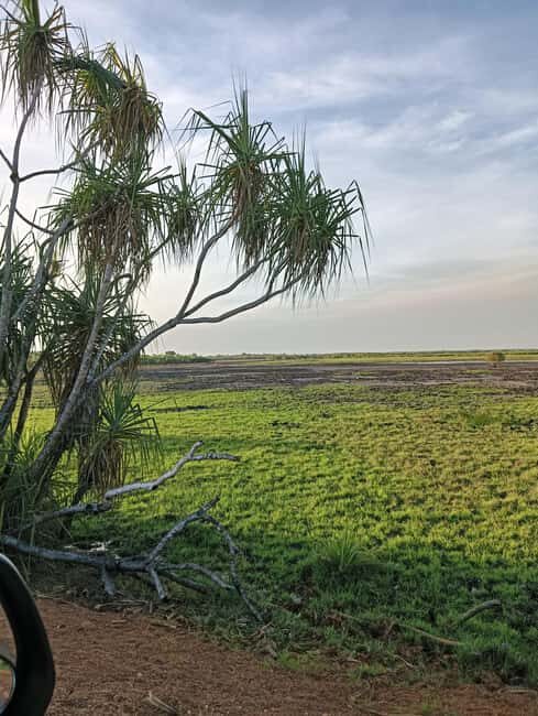 Darwin: Litchfield Park Sub-Tropical Escape - A Private tour - Picnic Lunch in Paradise