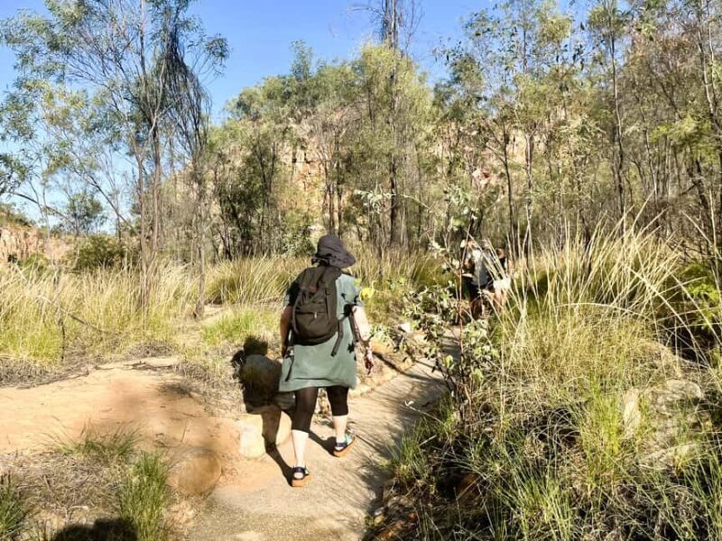 Darwin: Nitmiluk National Park Tour & Katherine Gorge Cruise - Exploring Nitmiluk National Park: A Natural and Cultural Marvel
