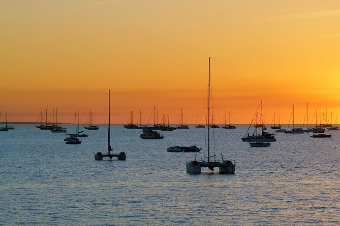 Darwin Shore Excursion: Hop-on Hop-off Bus Tour - Limits and Considerations