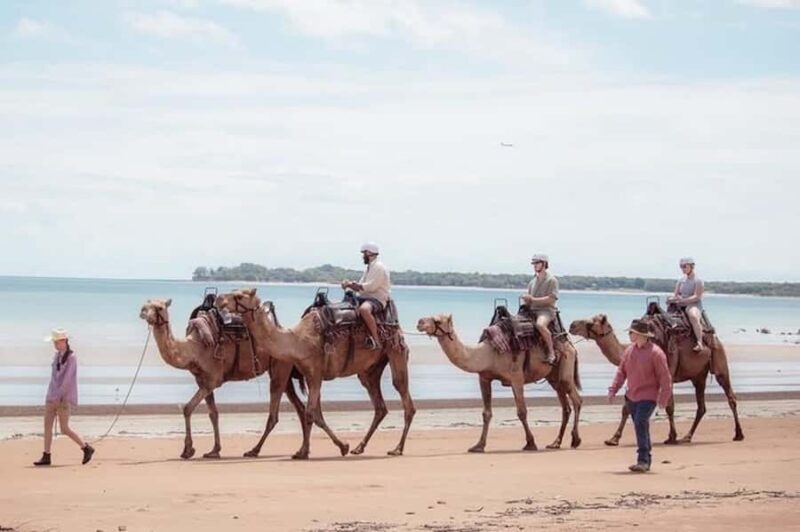 Darwin: Sunset Camel Ride along Mindil Beach - Key Points