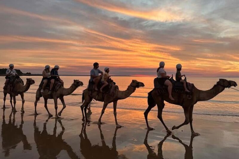Darwin: Sunset Camel Ride along Mindil Beach - What Is the Experience Like?
