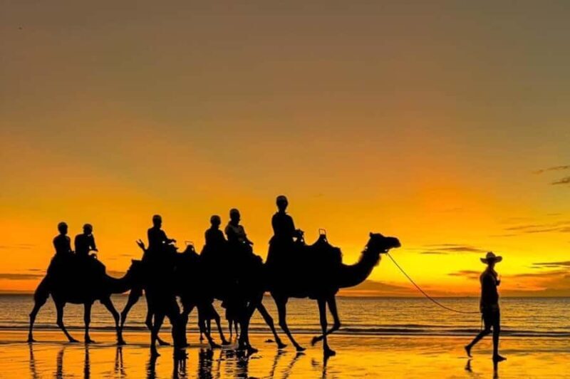 Darwin: Sunset Camel Ride along Mindil Beach