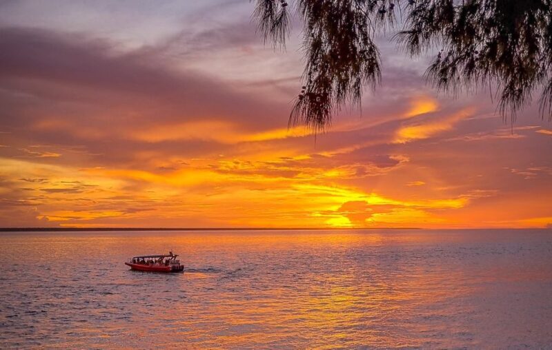 Darwin: Sunset Harbour Cruise with Fish and Chips Dinner - From Fish and Chips to Wildlife Encounters