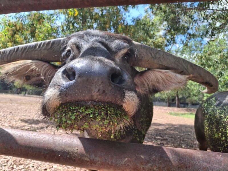 Darwin: Territory Wildlife Park Entry Ticket - Key Points