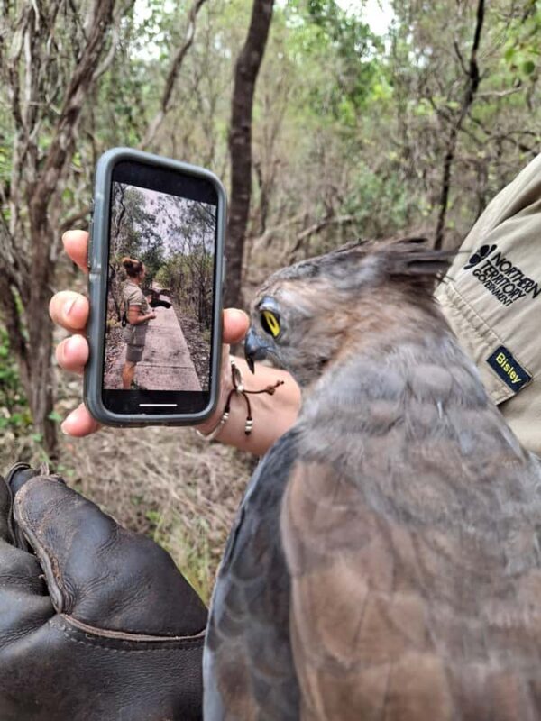 Darwin: Territory Wildlife Park Entry Ticket - An Authentic Look at the Wildlife Park Experience