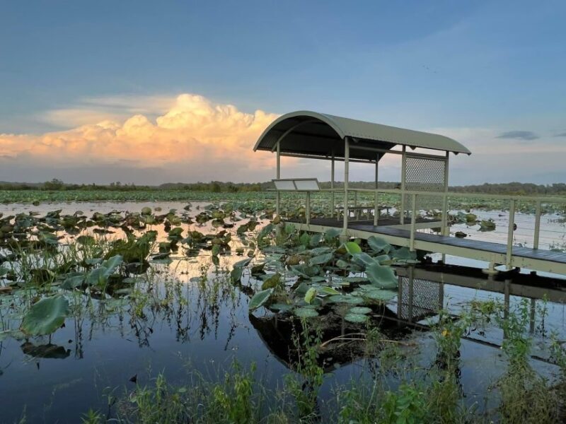 Darwin: The Croc Bus to the Famous Jumping Crocodile Cruise - Detailed Review of the Tour Experience