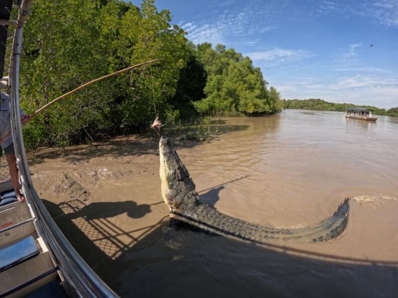 Darwin: The Croc Bus to the Famous Jumping Crocodile Cruise - The Sum Up