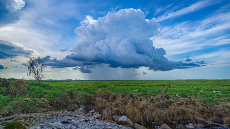 Darwin: The Croc Bus to the Famous Jumping Crocodile Cruise - FAQ