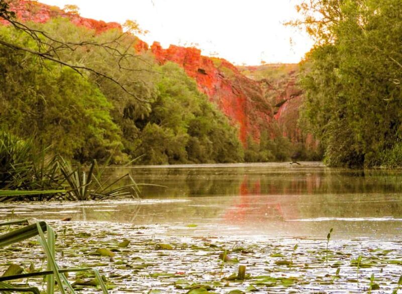 Darwin to Cairns: Kakadu & Gulf Savannah 11 Day Tour - The Sum Up