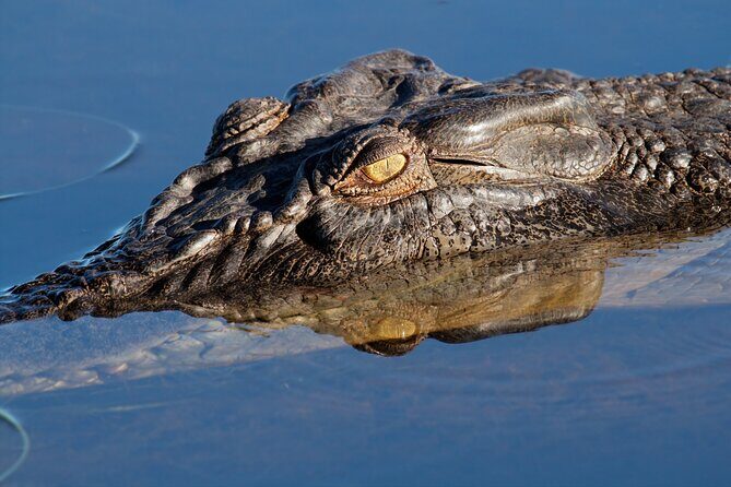 Darwin to Kakadu Day Trip by Air Including Yellow Water Cruise - An Honest Look at the Experience