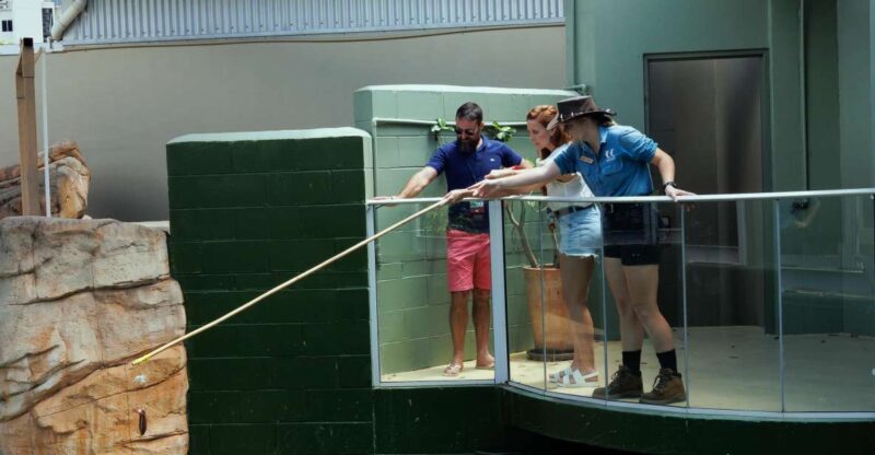 Darwin: VIP Crocosaurus Cove Experience - FAQ